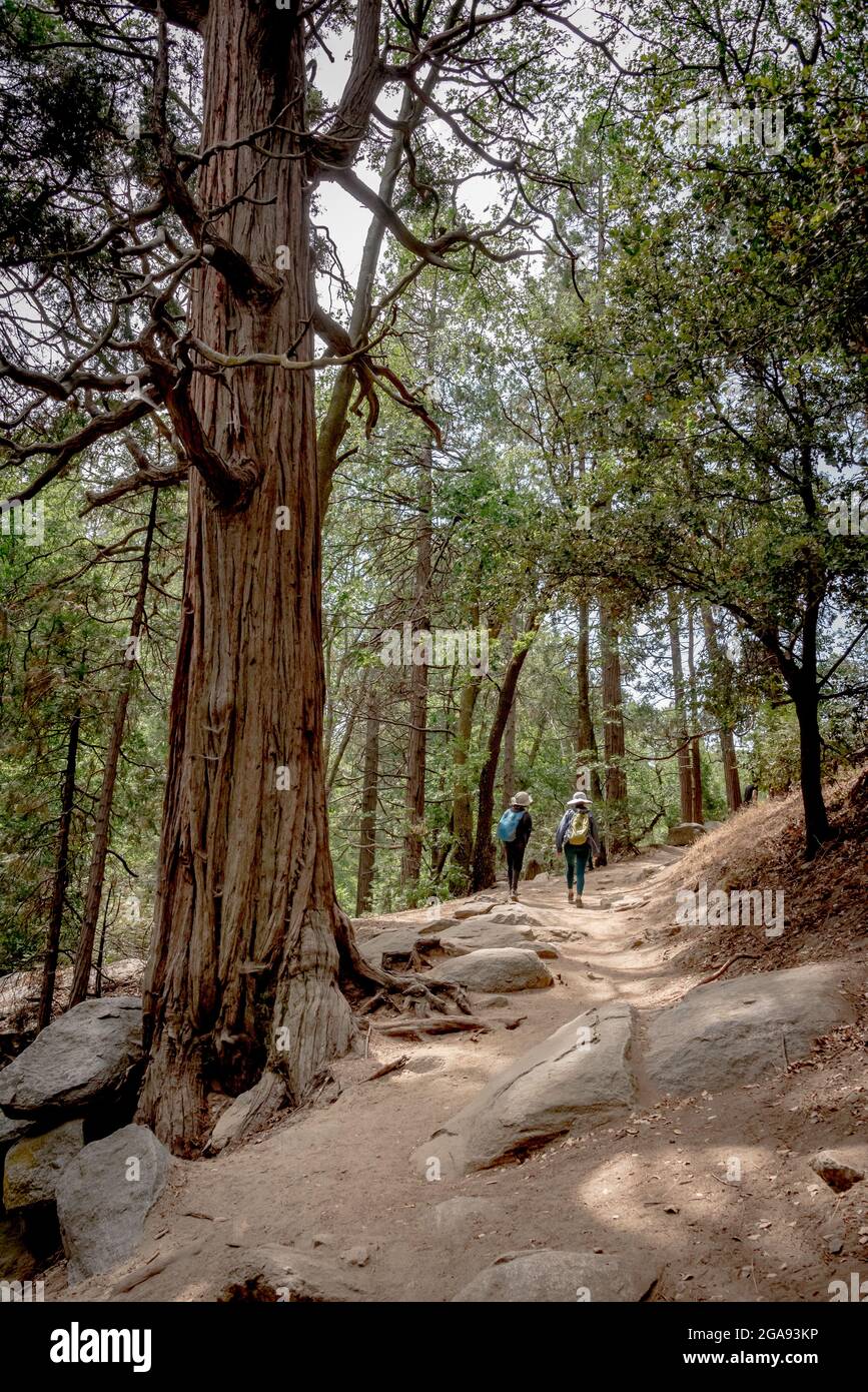 Two kids hike in dappled shade along a dirt portion of the Heart Rock ...