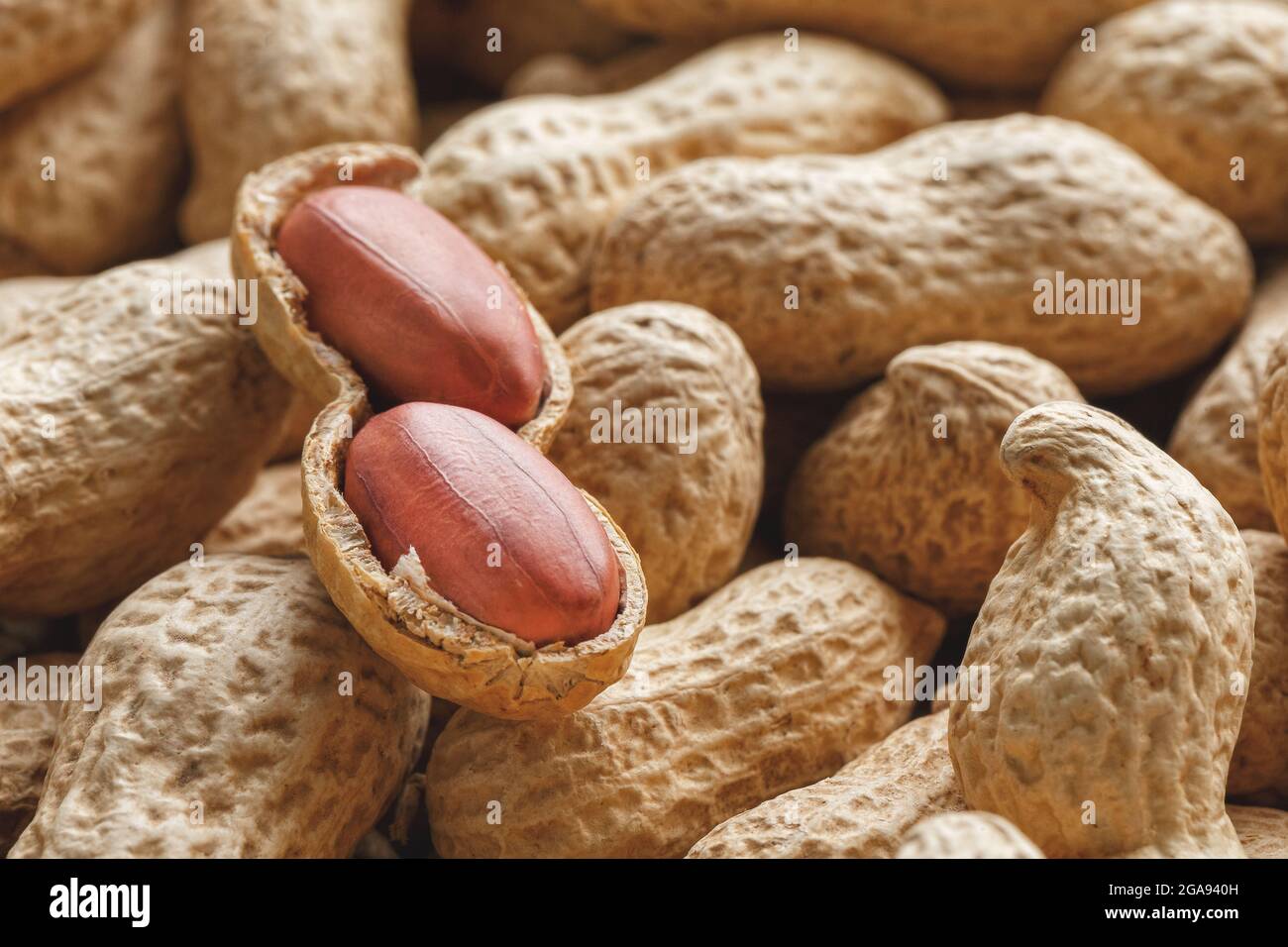 Peeled peanut on well peanuts. Uncleaned inshell peanuts. Peanuts, for ...