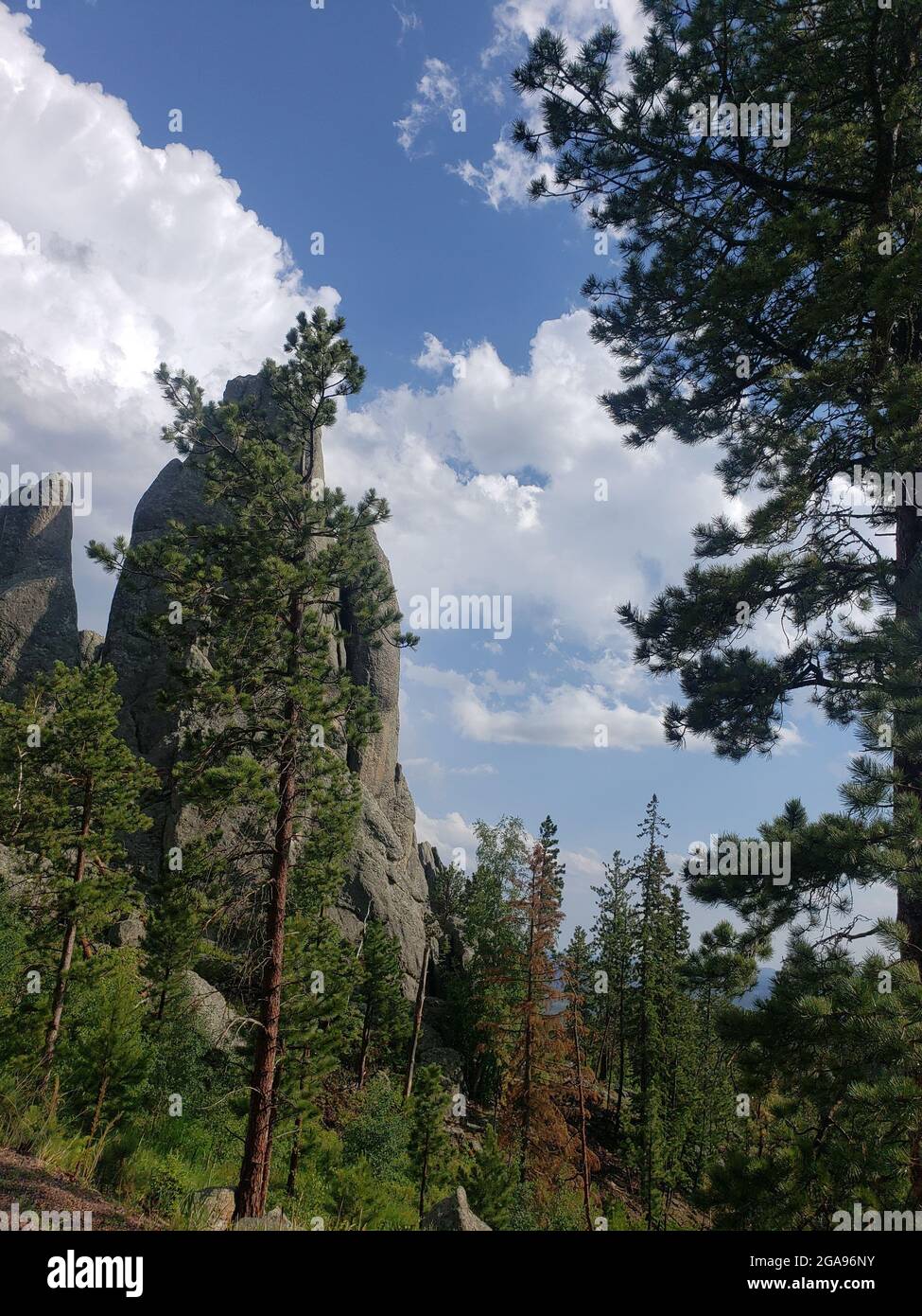 Custer state park needles byway hi-res stock photography and images - Alamy