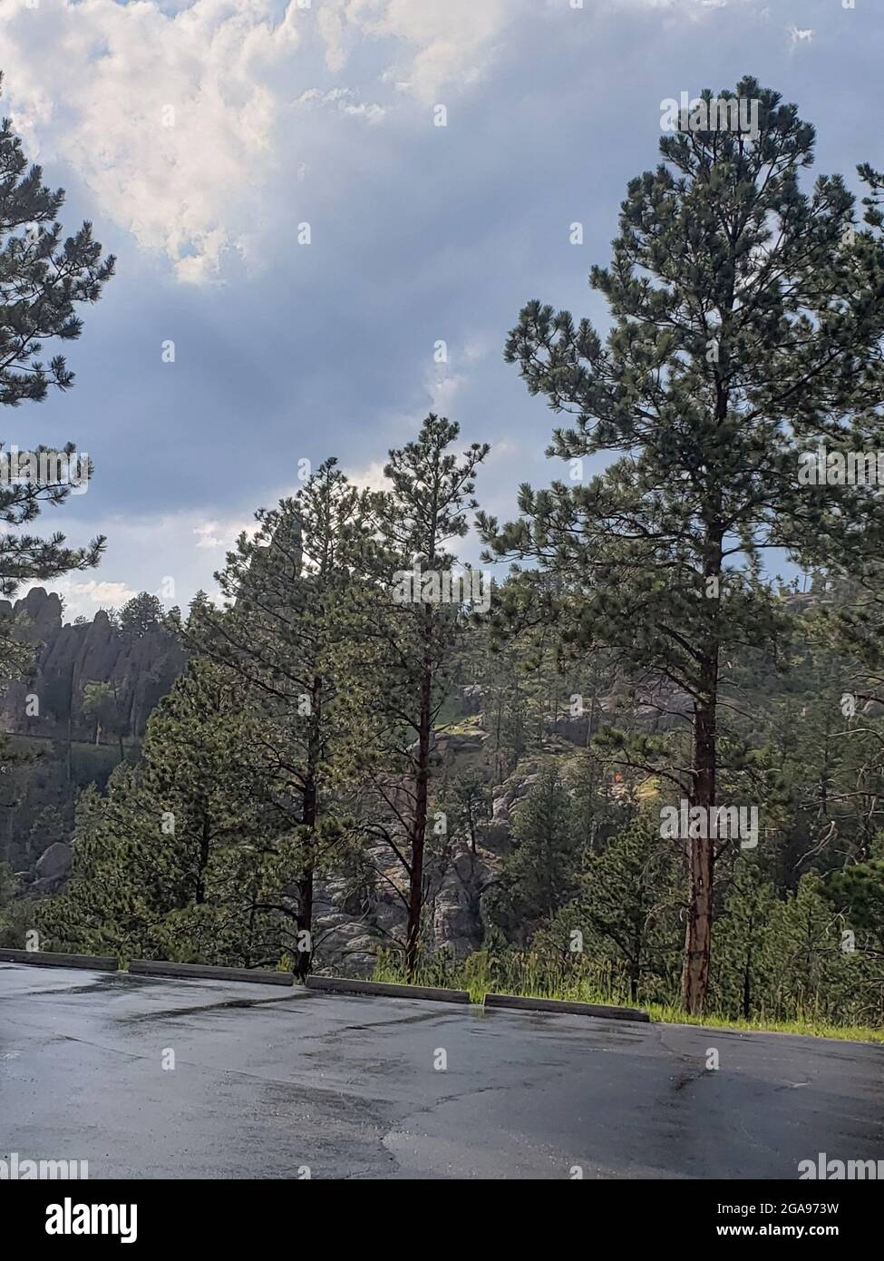 Views from the Needles Highway in Summer, South Dakota Stock Photo - Alamy