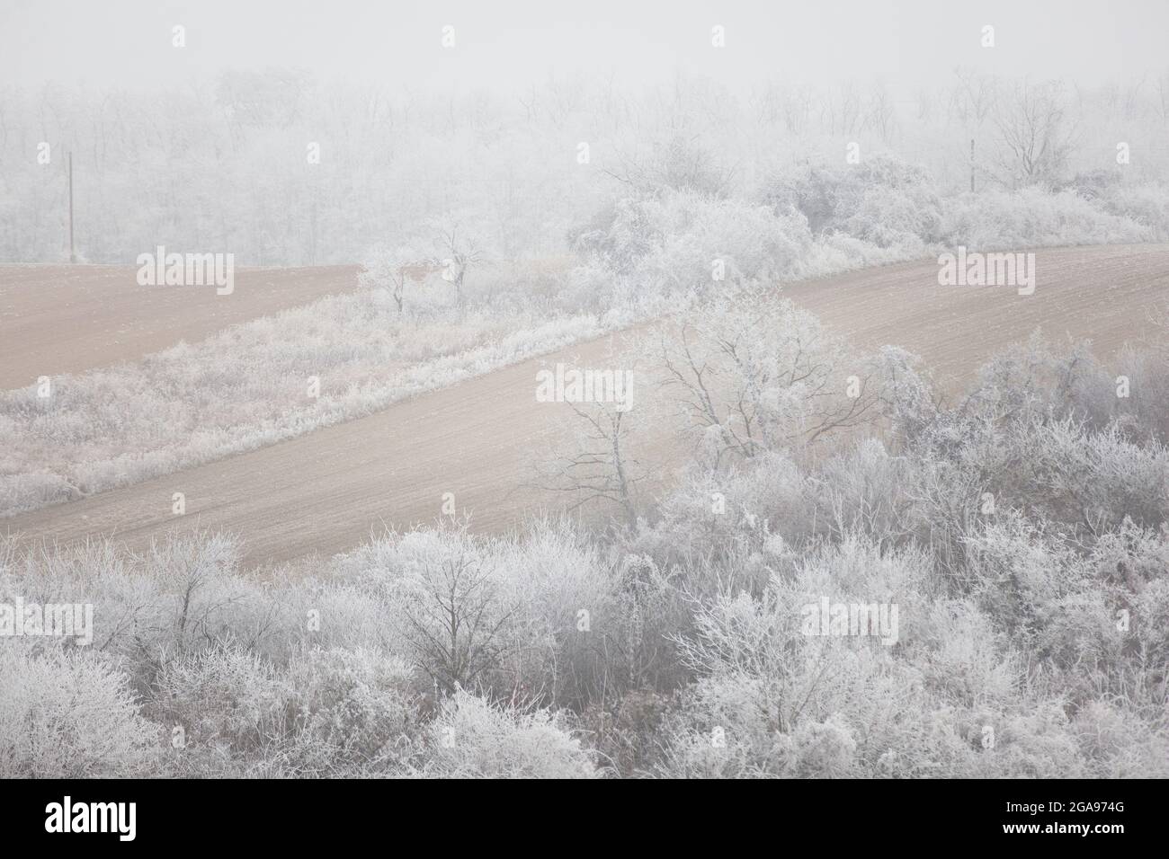 Rural winter landscape with frozen and snowy meadows and fields in the ...