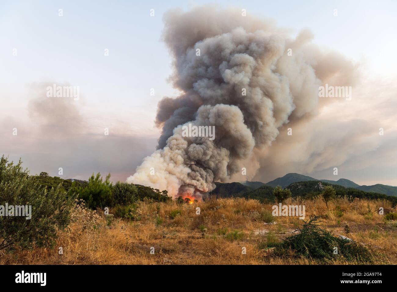 Forest fire near Marmaris resort town of Turkey Stock Photo - Alamy
