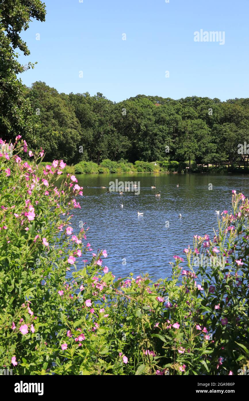 Winchmore hill north london hi-res stock photography and images - Alamy