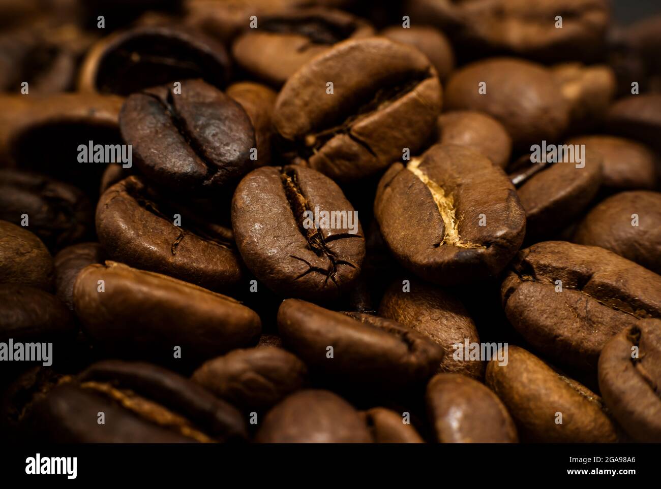 Coffee bean varieties hi-res stock photography and images - Alamy