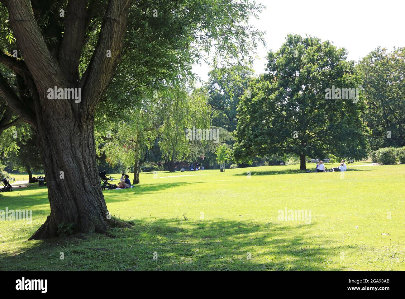 Grovelands Grade II historic public park in Southgate and Winchmore ...