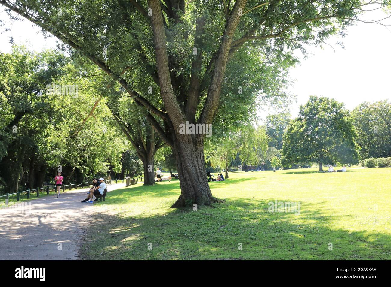 Grovelands Grade II historic public park in Southgate and Winchmore ...