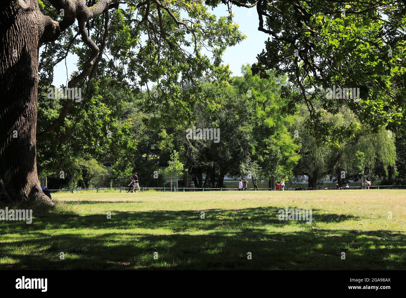 Grovelands Grade II historic public park in Southgate and Winchmore ...
