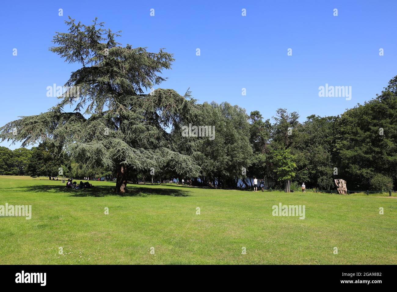 Grovelands Grade II historic public park in Southgate and Winchmore ...