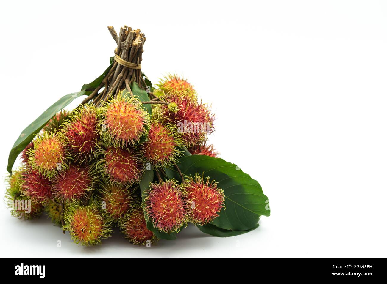 Closeup of fresh red and yellow rambutan fruits with big leaves on an ...