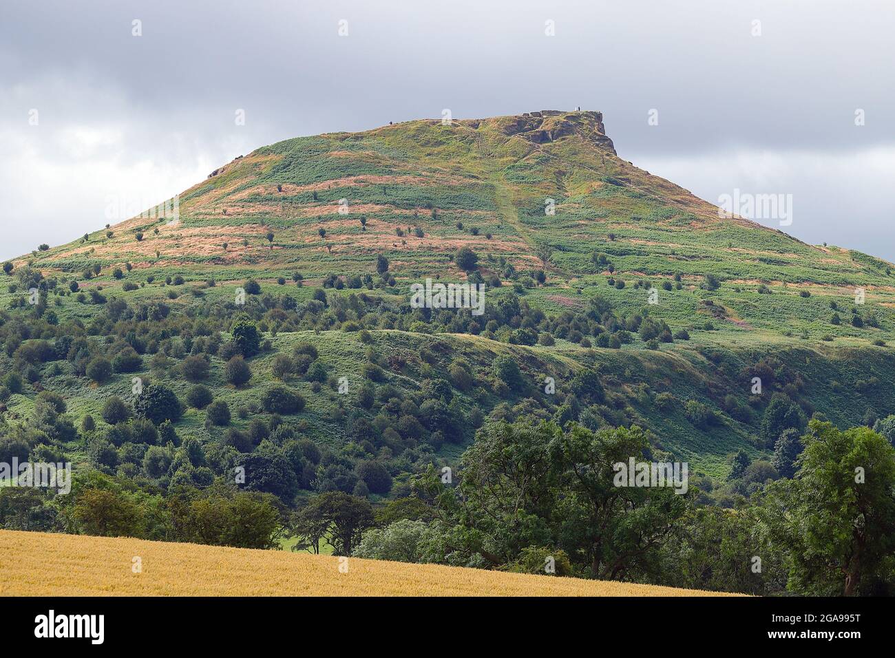 Roseberry Topping in North Yorkshire,UK Stock Photo - Alamy