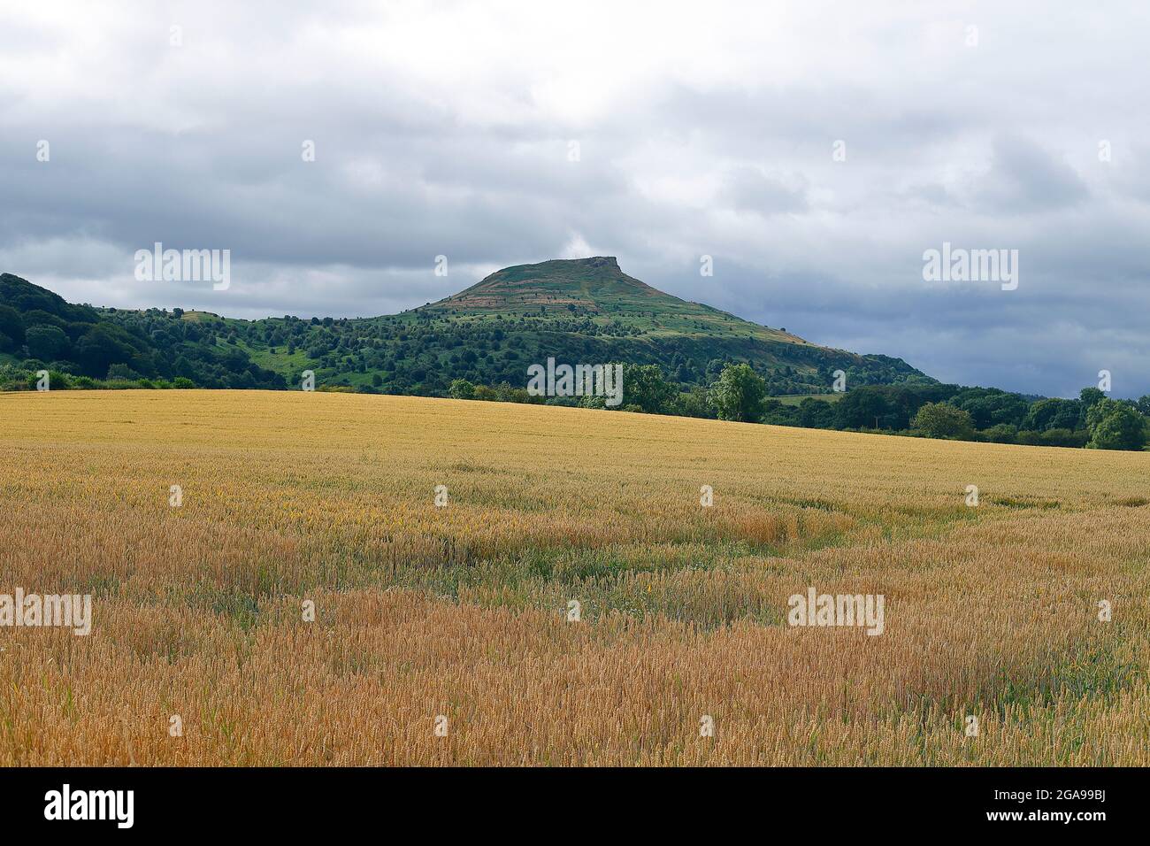 Roseberry Topping in North Yorkshire,UK Stock Photo - Alamy
