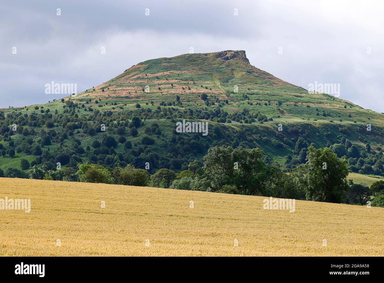 Roseberry Topping in North Yorkshire,UK Stock Photo - Alamy