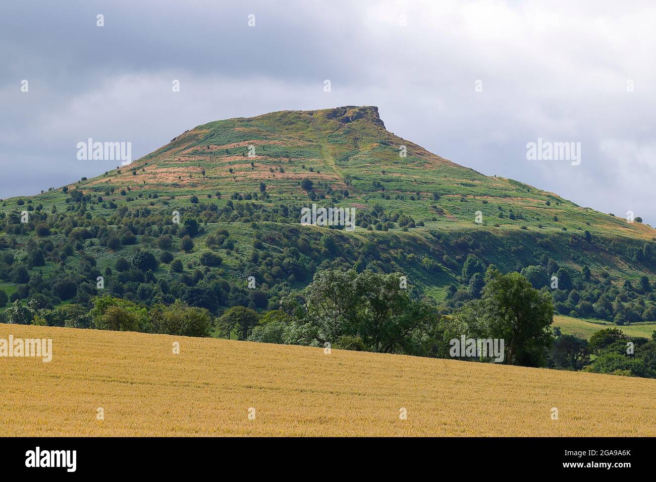 Roseberry Topping in North Yorkshire,UK Stock Photo - Alamy