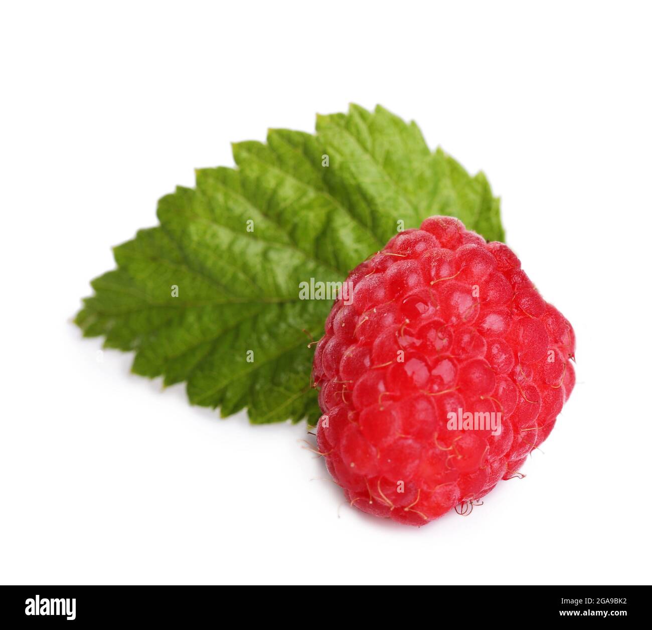 Fresh raspberry with green leaf isolated on white Stock Photo - Alamy