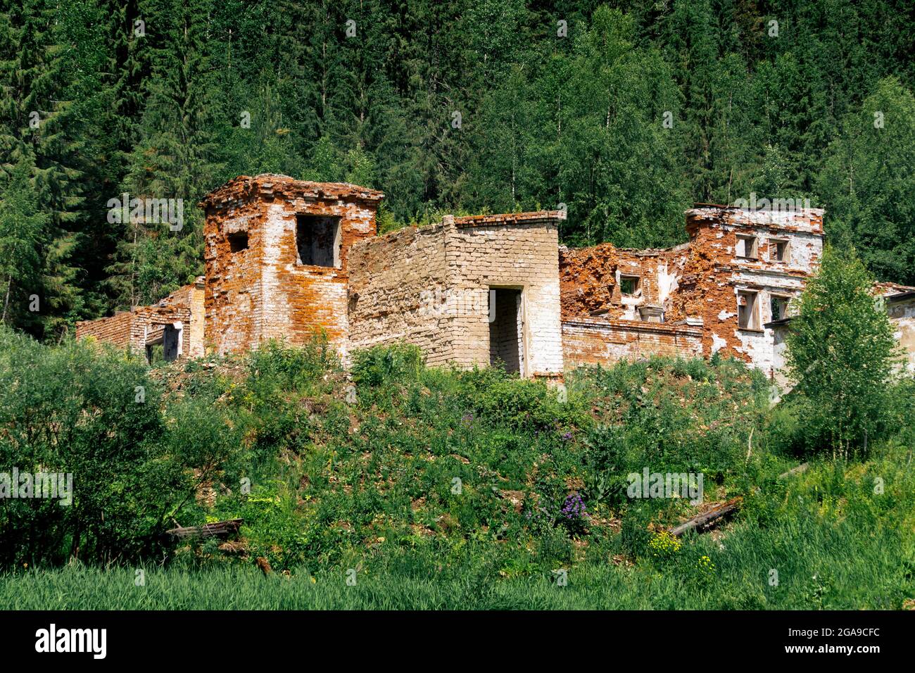 ruins of an old brick industrial buildings among the forest in the ...