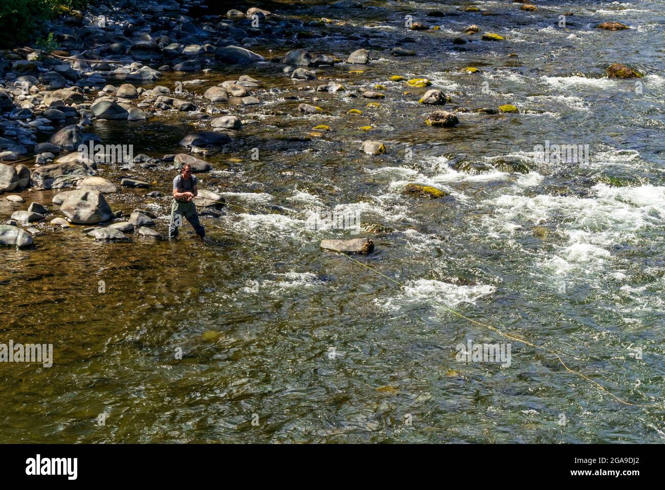 Man fishing in the Campbell River where five species of salmon spawn ...