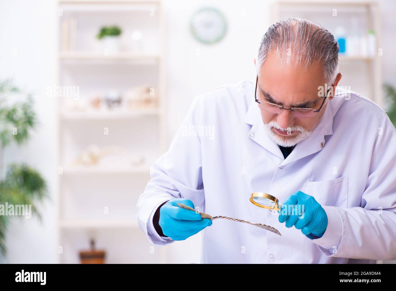 Old male archaeologist working in the lab Stock Photo - Alamy
