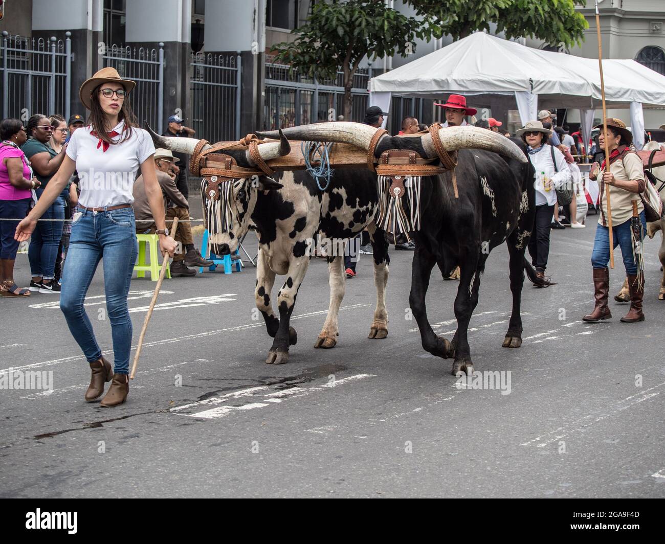 Very tall woman hi-res stock photography and images - Alamy
