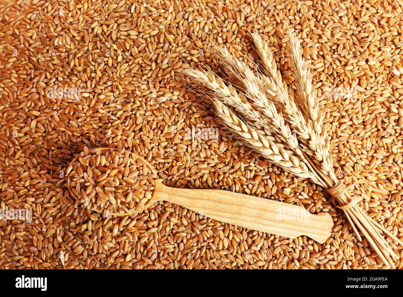 Wooden spoon on wheat grains background Stock Photo - Alamy