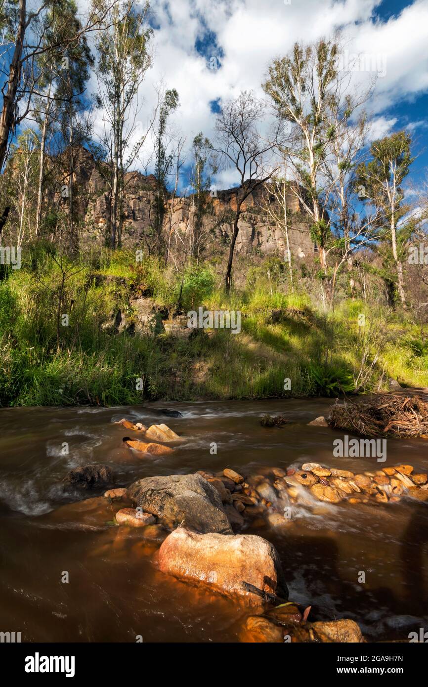 a waterfall with trees on the side of a river Stock Photo - Alamy
