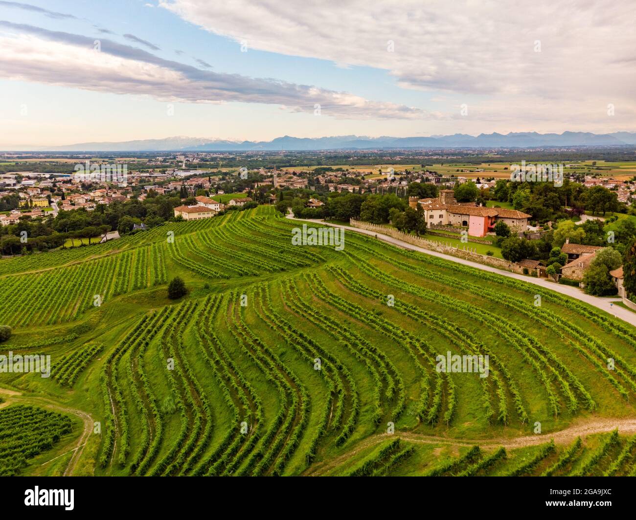 Buttrio hi-res stock photography and images - Alamy