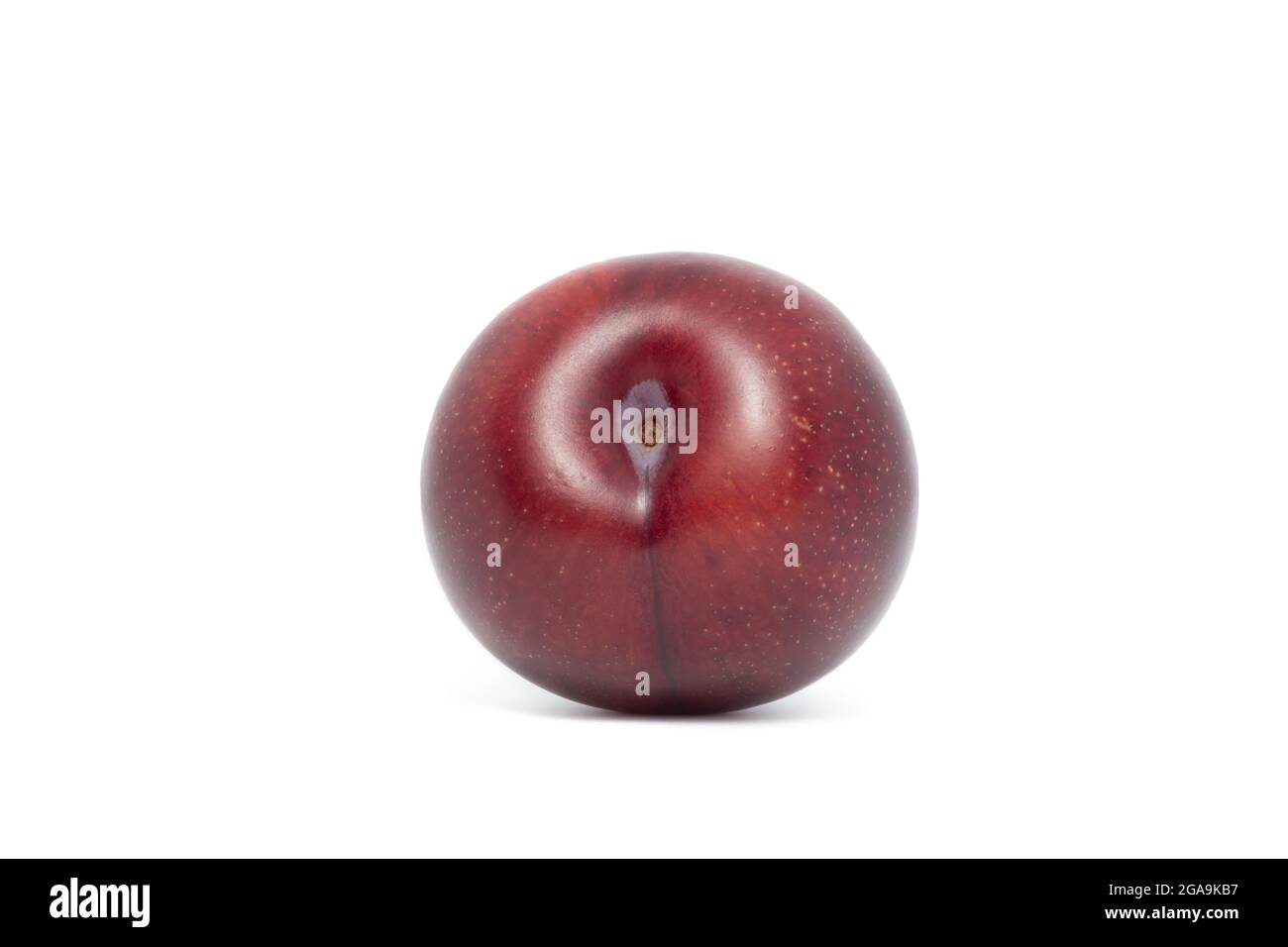 Plum isolated hi-res stock photography and images - Alamy