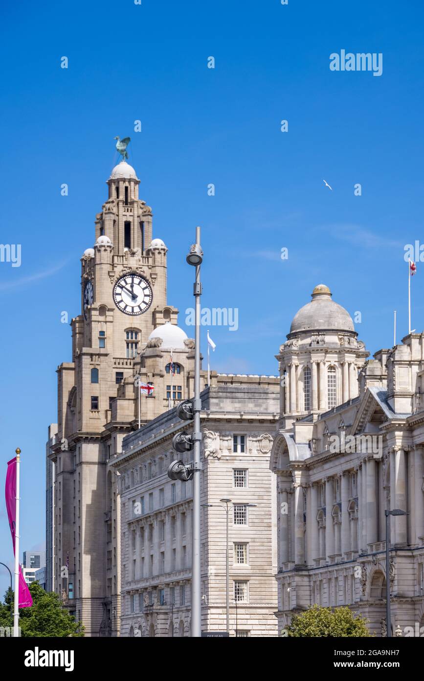 LIVERPOOL, UK - JULY 14 : The Royal Liver building with a clock tower ...