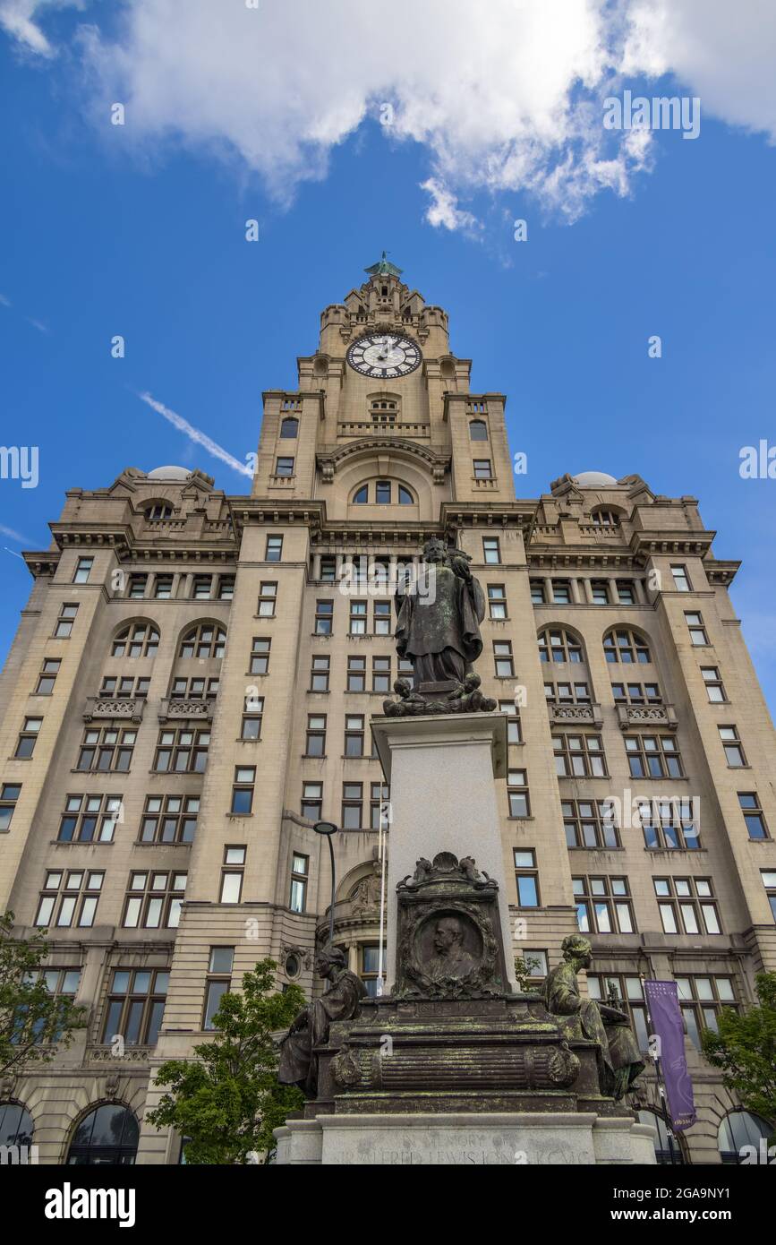LIVERPOOL, UK - JULY 14 : The Royal Liver building with a clock tower ...