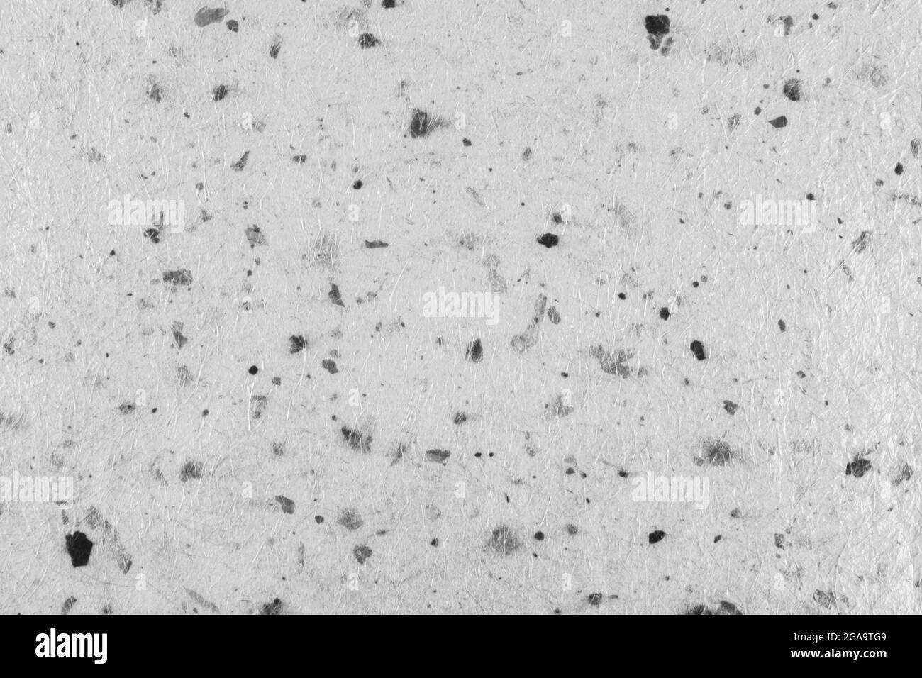 Closeup of handmade paper texture vintage background with leaf. Black ...