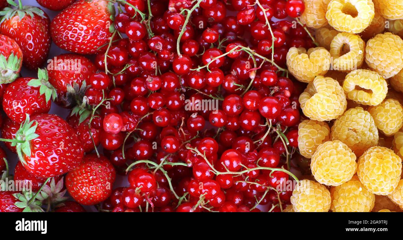 Mix of different berries as background Stock Photo - Alamy
