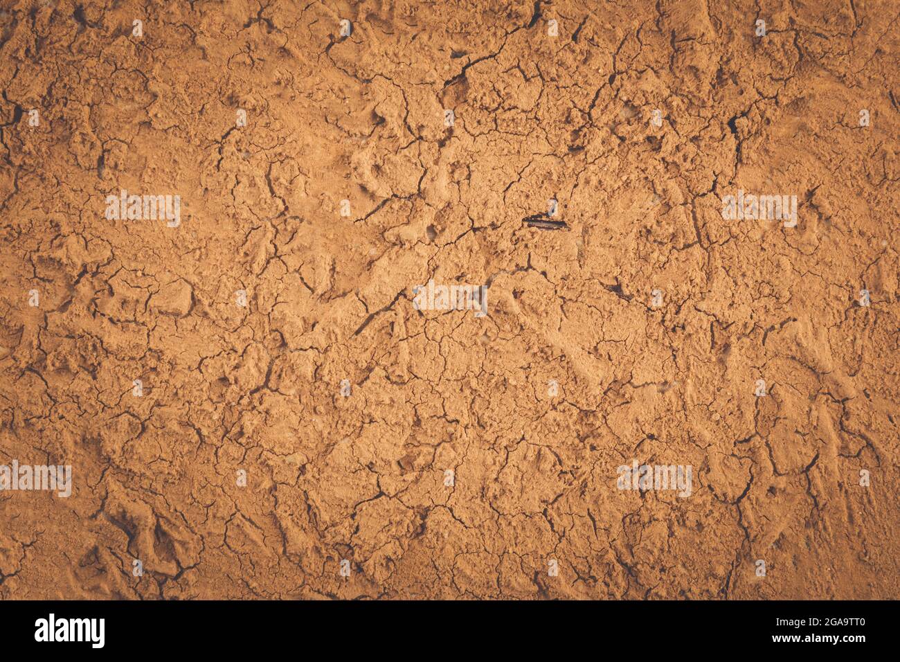 Texture of land dried up by drought. The ground cracks background Stock ...