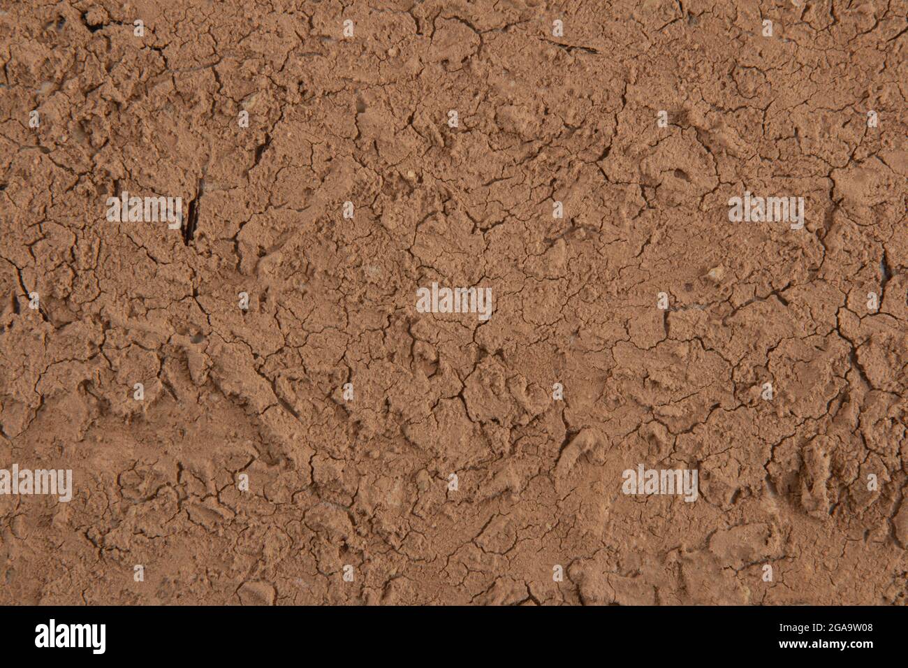 Texture of land dried up by drought. The ground cracks background Stock ...