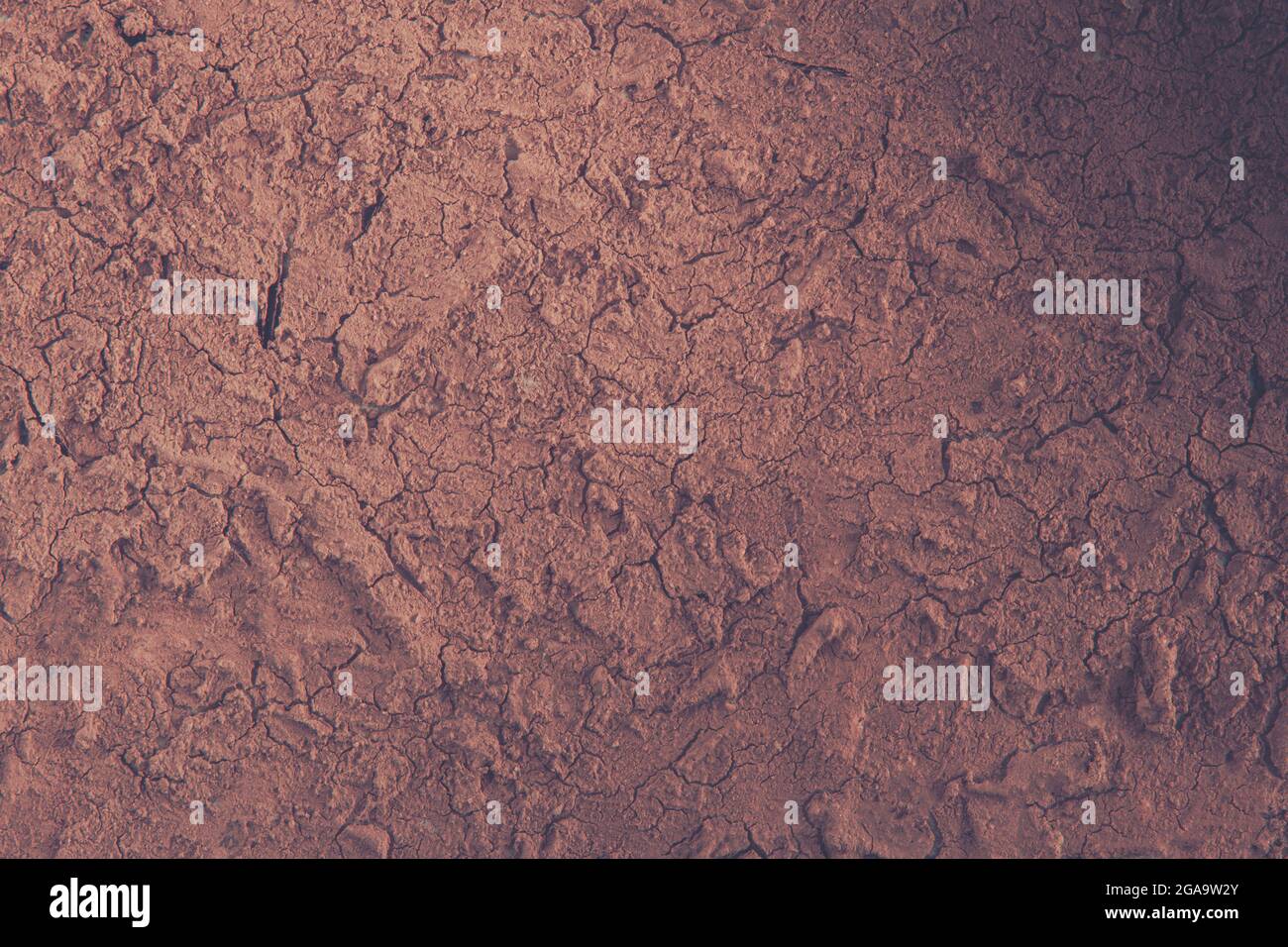 Texture of land dried up by drought. The ground cracks background Stock ...