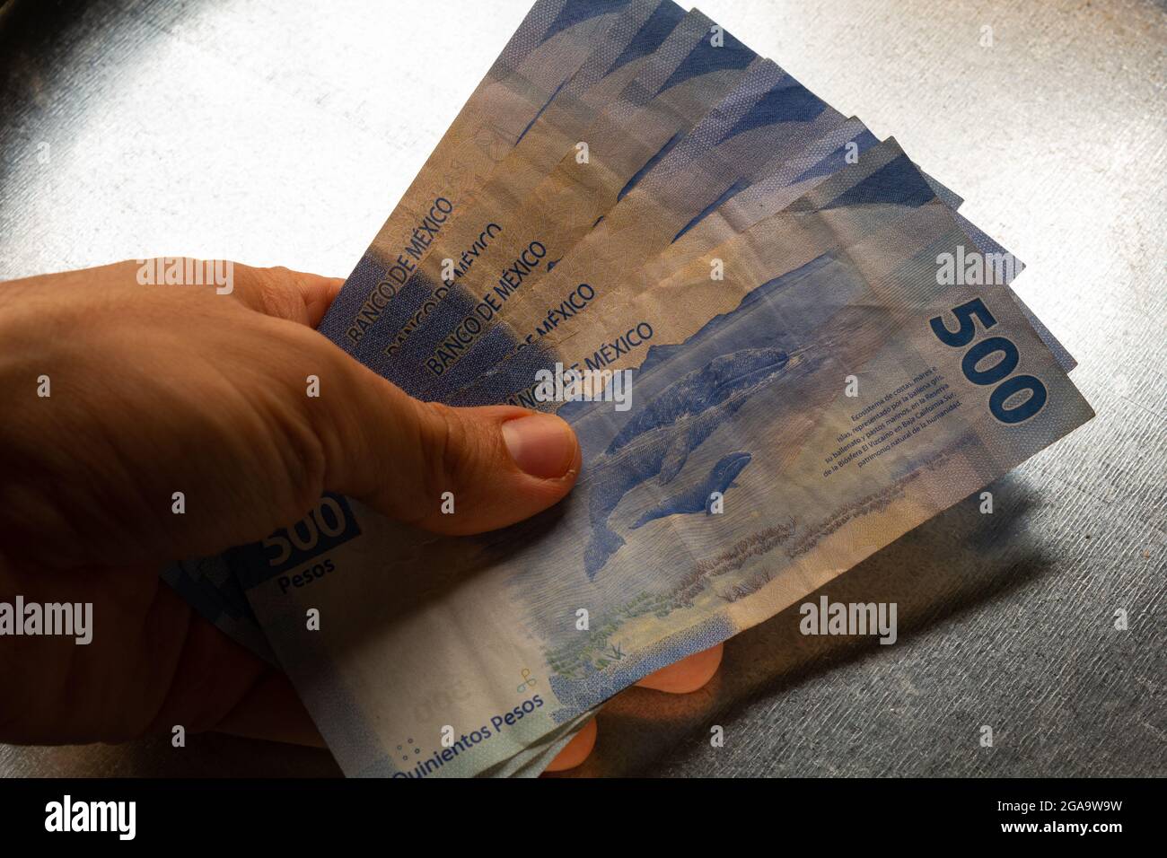 hand holding mexican money called pesos Stock Photo - Alamy