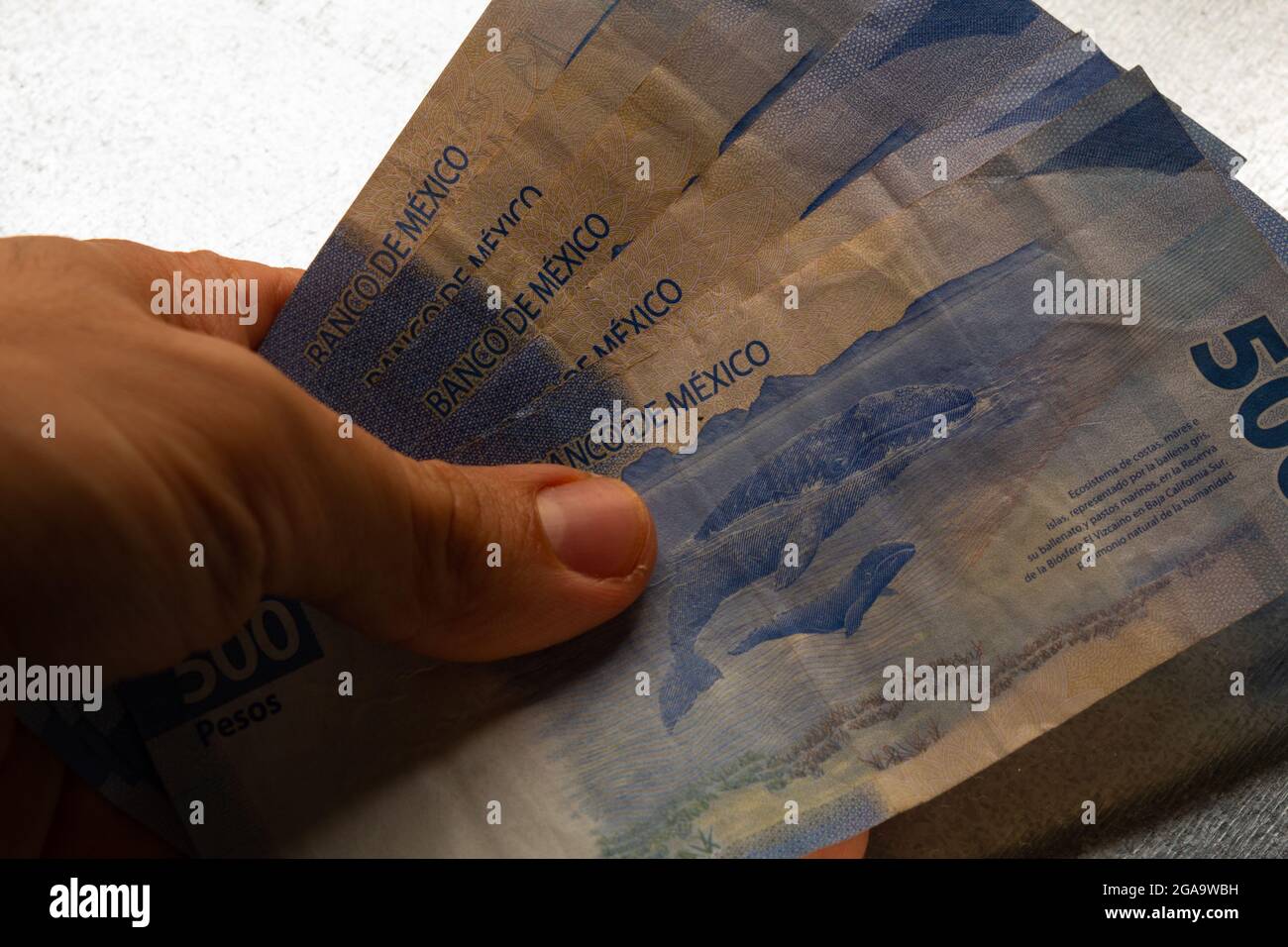 hand holding mexican money called pesos Stock Photo - Alamy