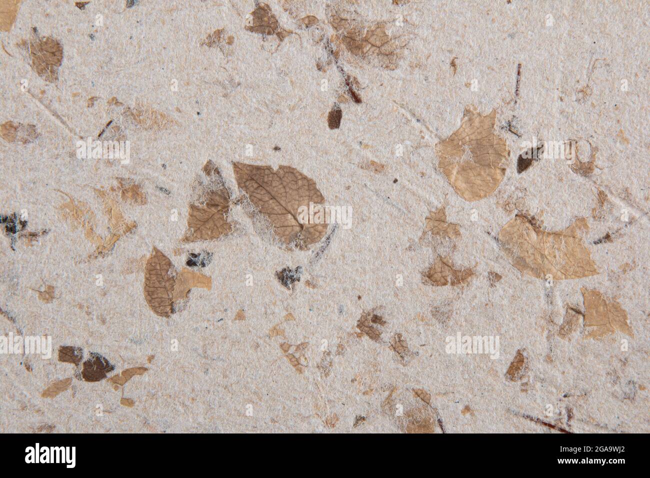 Japanese natural color paper texture hi-res stock photography and ...