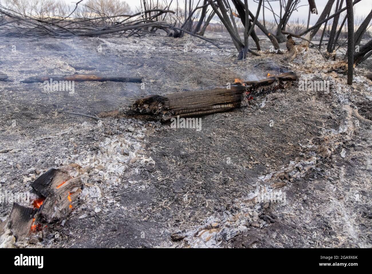 Controlled burn at Bosque del Apache National WIldlife Refuge, New ...