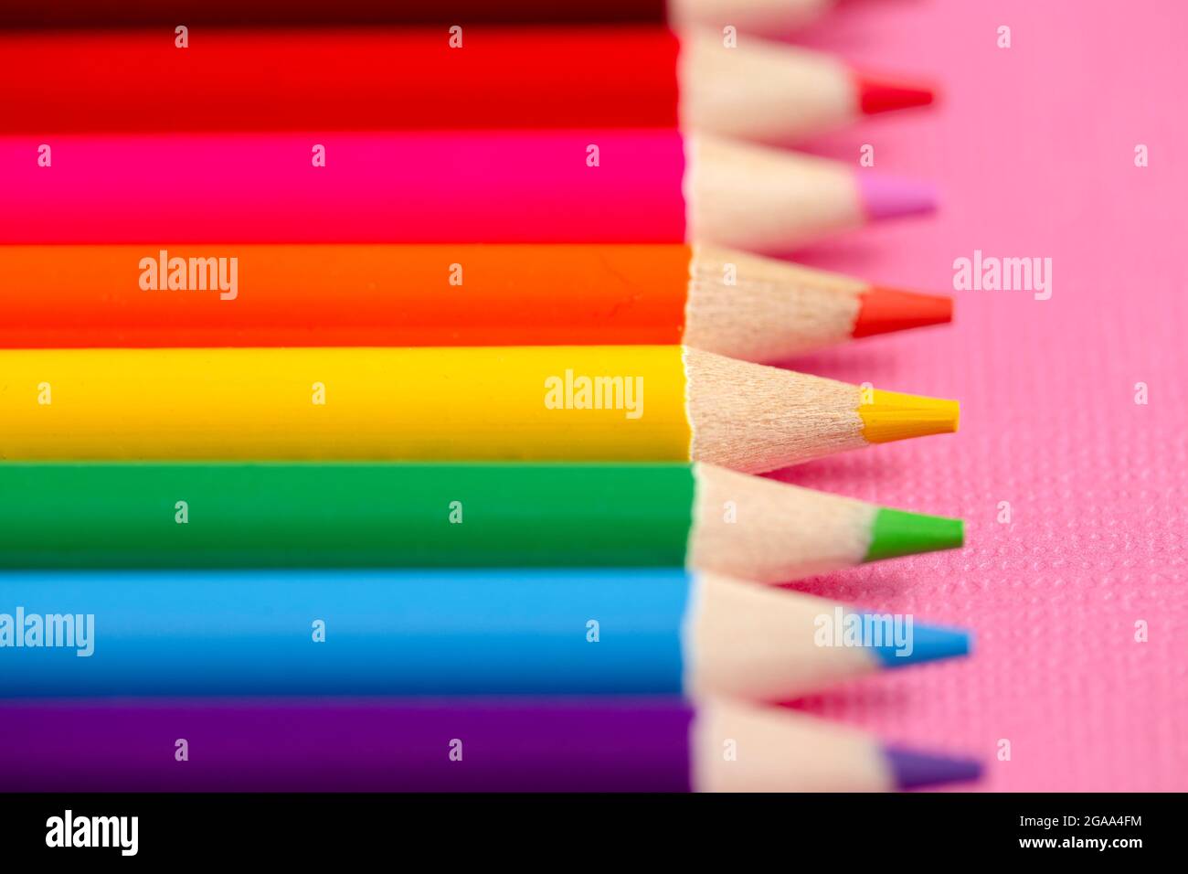Set of Rainbow Colored Pencils on a Bright Pink Background Stock Photo ...