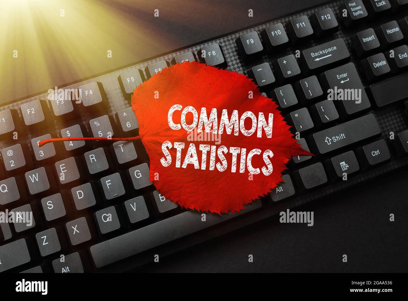 Sign displaying Common Statistics. Business concept deals with ... Sign displaying Common Statistics. Business concept deals with ...