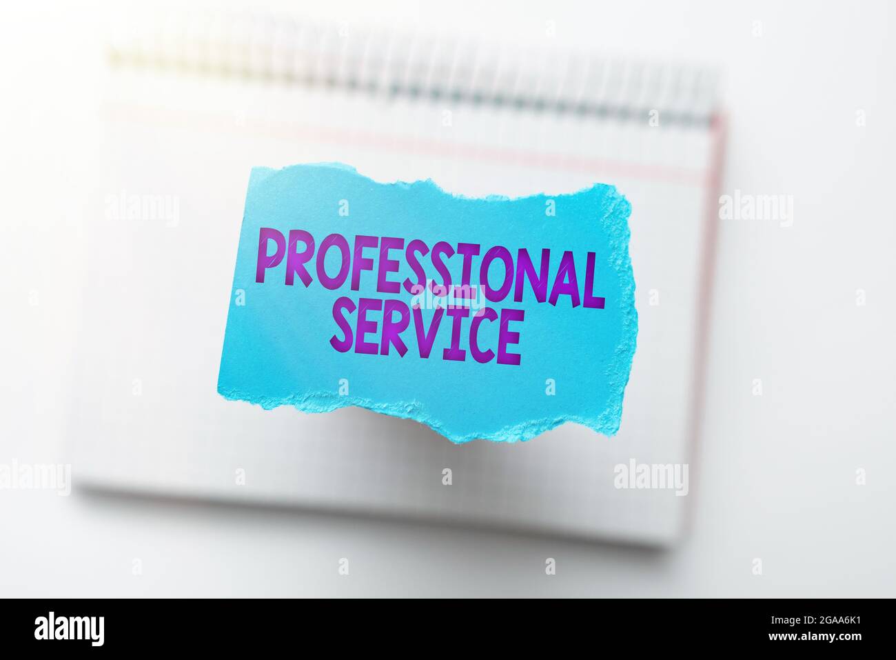 Inspiration showing sign Professional Service. Business overview ...