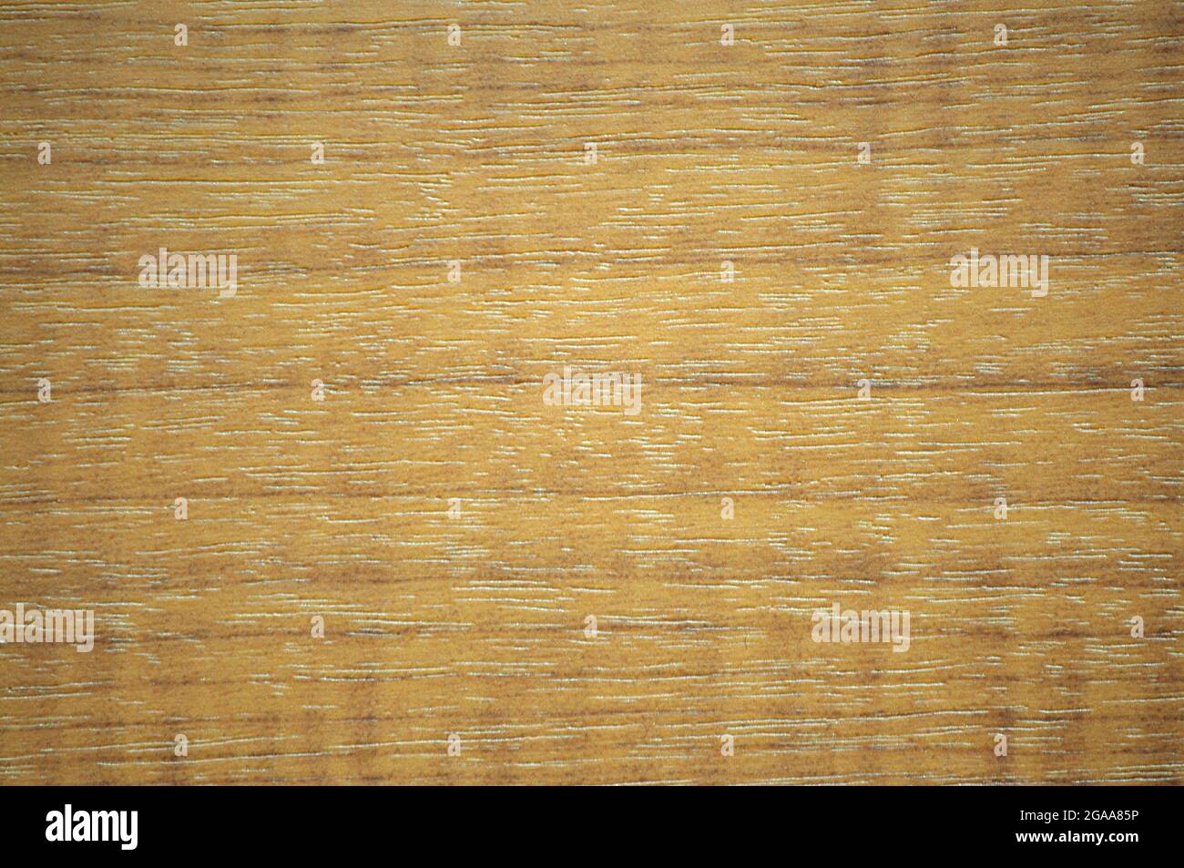Dark alder, a close-up of a flat surface of natural aged wood ...