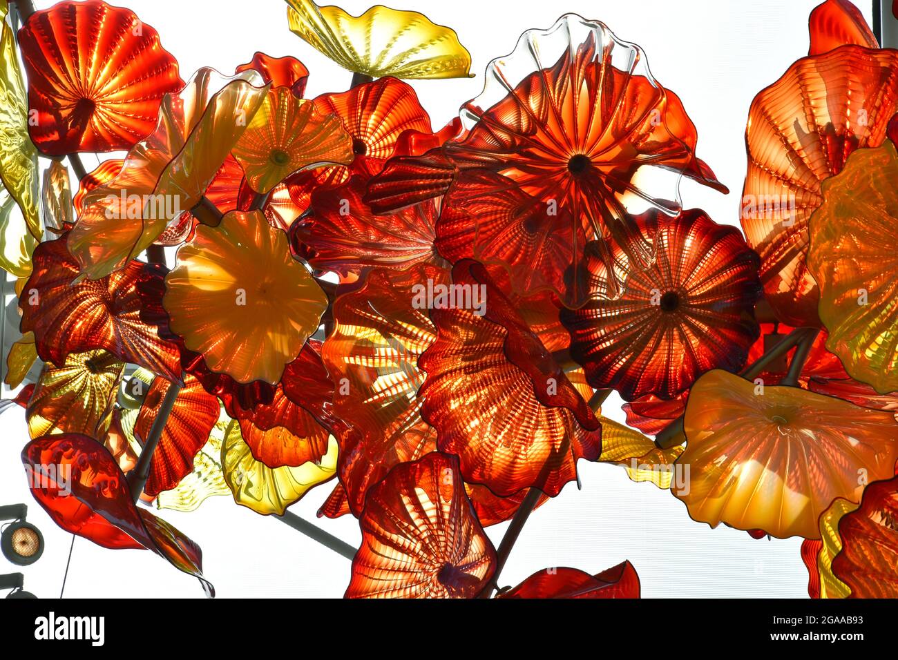 Seattle chihuly gardens hi-res stock photography and images - Alamy