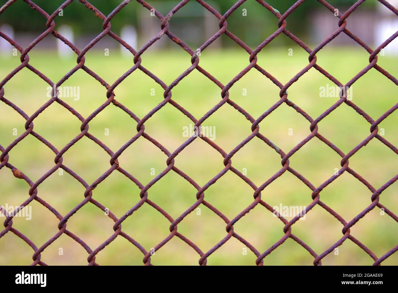 Rabitz netting texture background. Metal mesh fence on blurred green ...