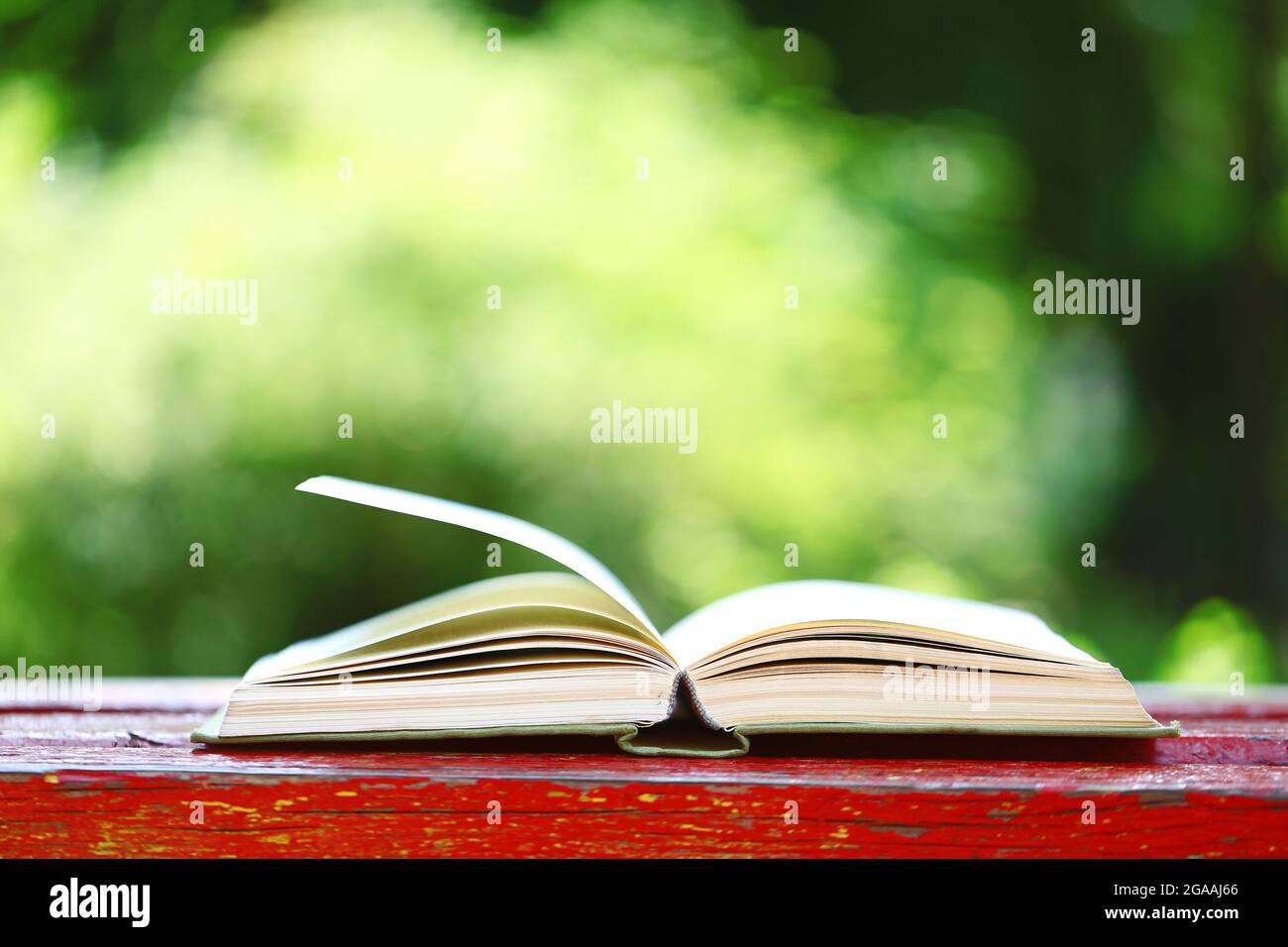 Open book outdoors, on blurred background Stock Photo - Alamy