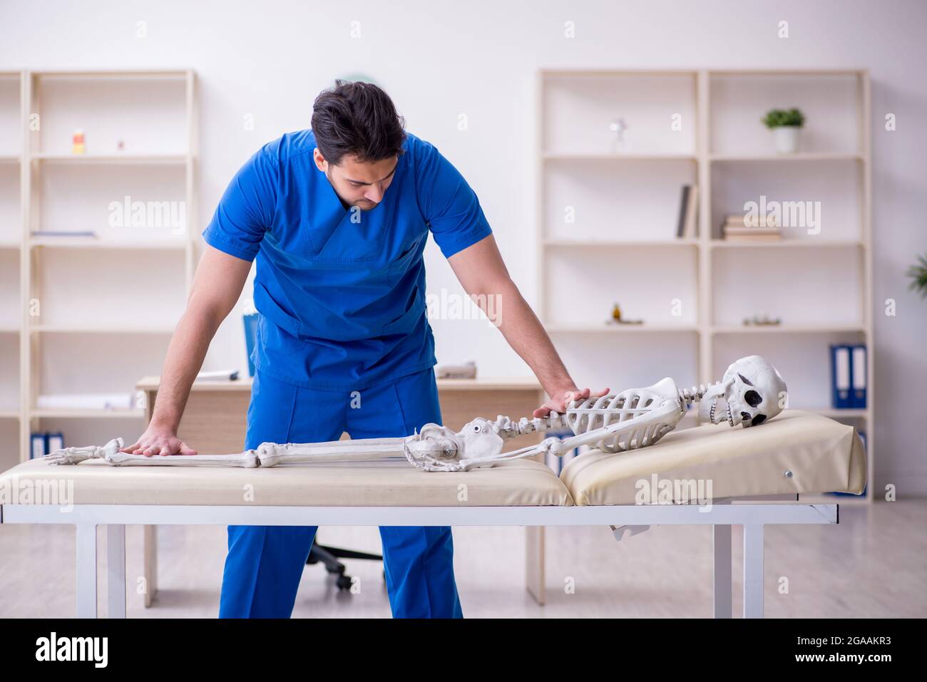 Doctor osteopath explaining human skeleton hi-res stock photography and ...
