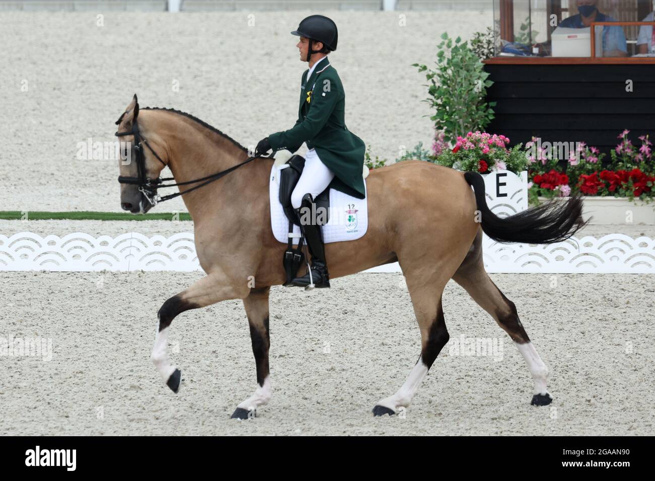 Sam watson horse hi-res stock photography and images - Alamy