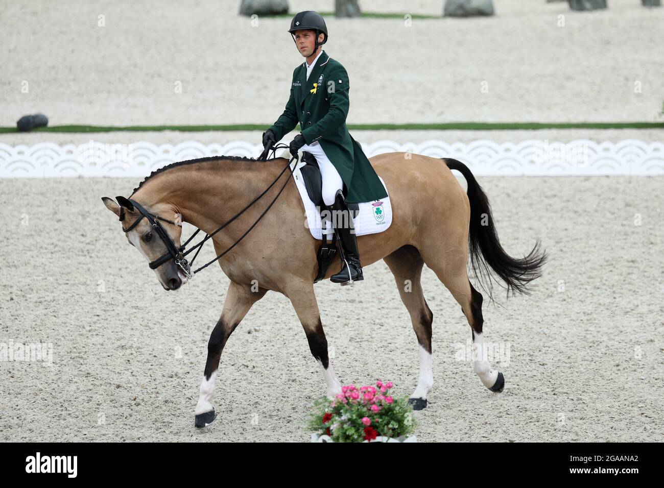 Sam watson horse hi-res stock photography and images - Alamy