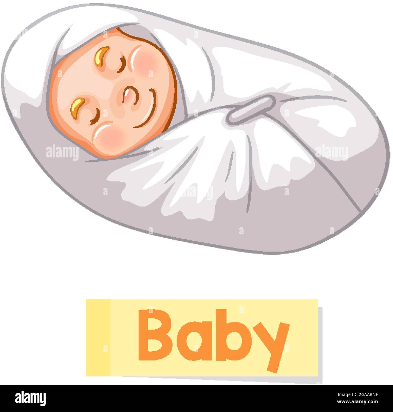 Educational English word card of Baby illustration Stock Vector Image ...