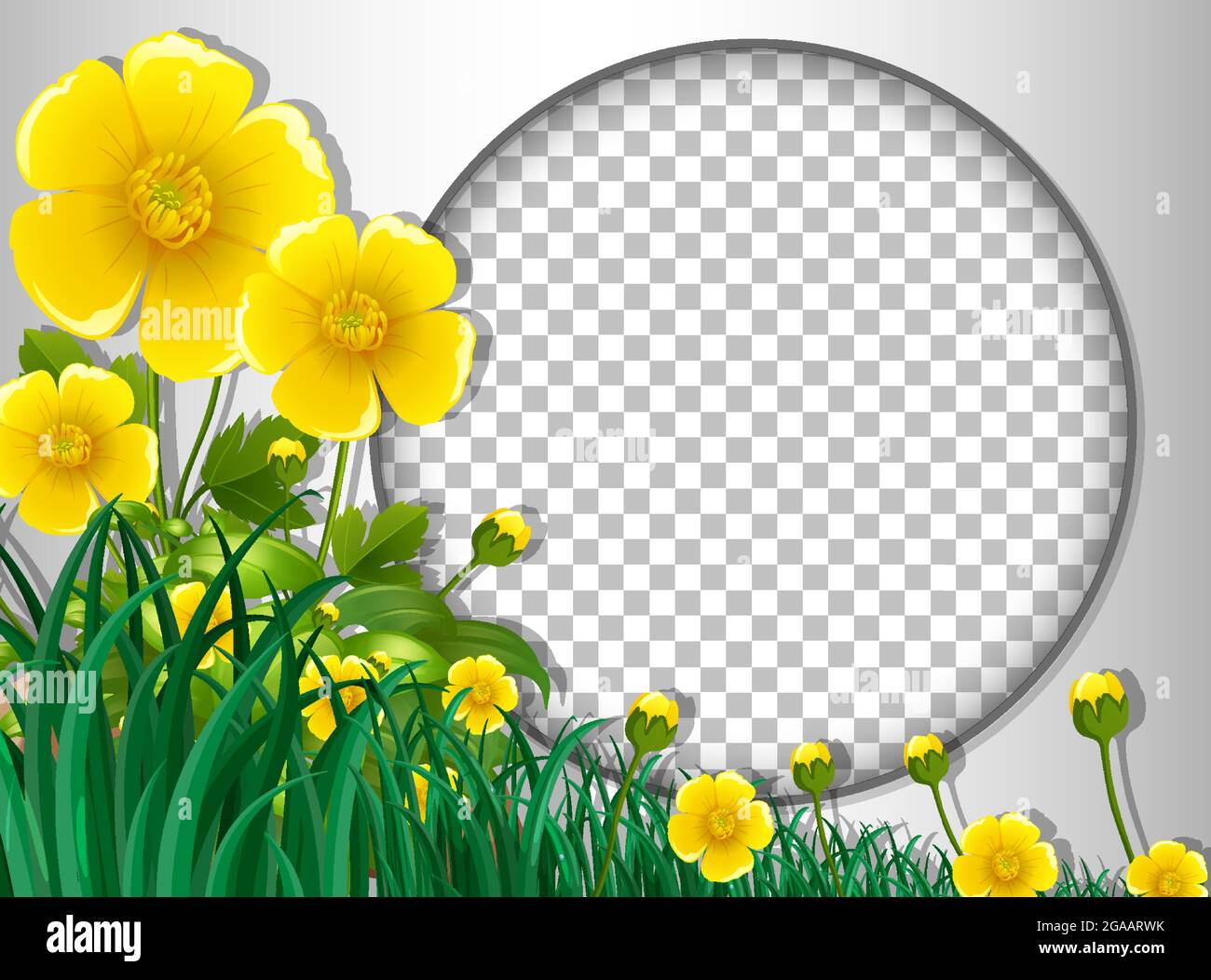 Round frame transparent with yellow flower and leaves template ...