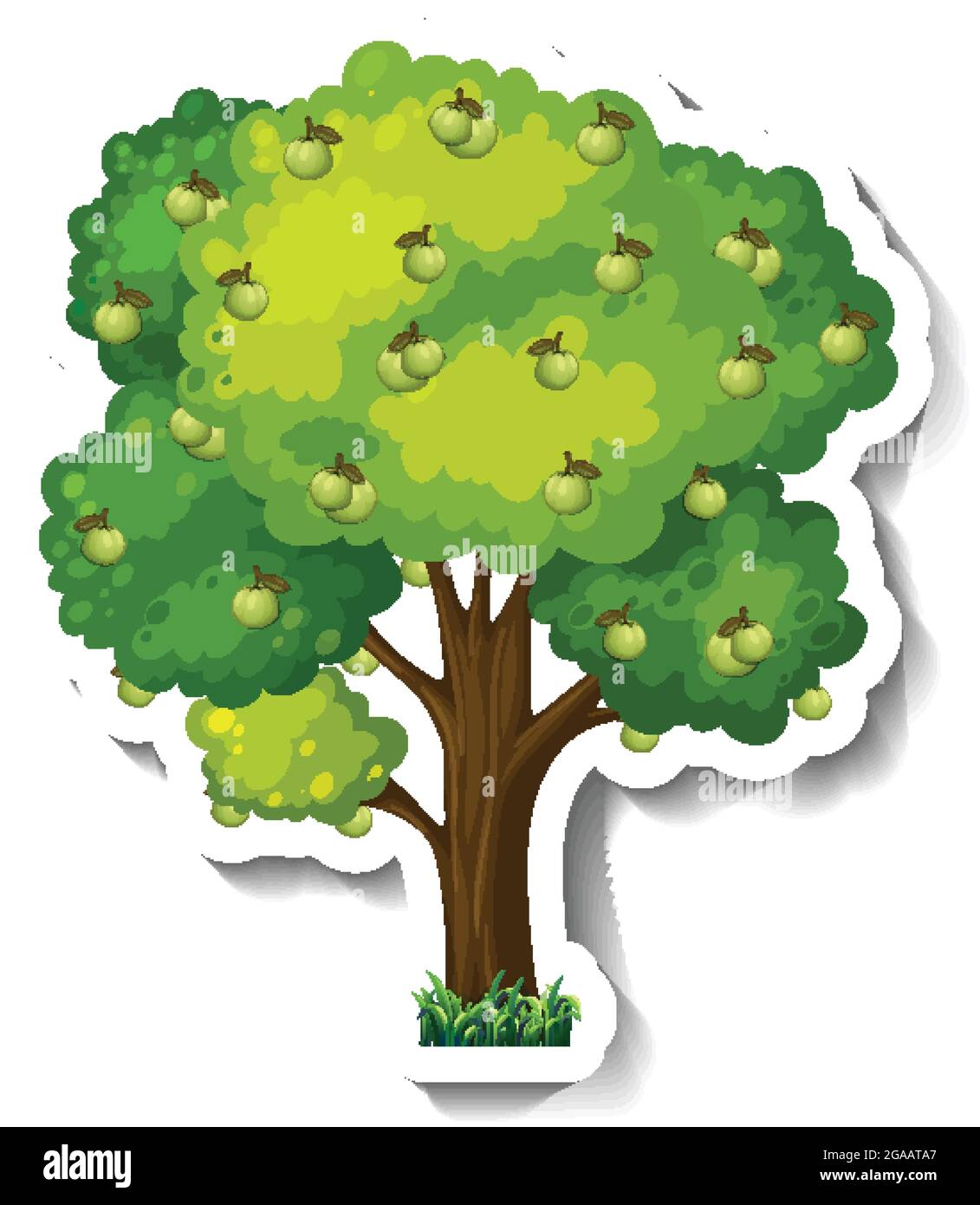 Guava Tree Clip Art